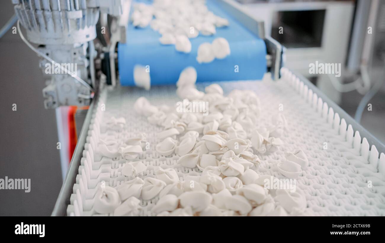 Close Up Shot of the Automatic Machine Production Process at a Dumpling ...