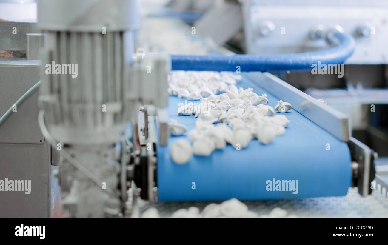 Close Up Shot of the Automatic Machine Production Process at a Dumpling ...