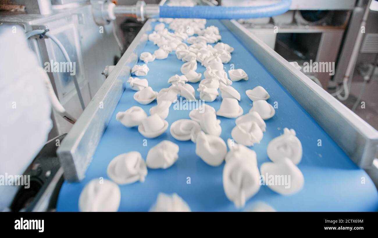 Close Up Shot of the Automatic Machine Production Process at a Dumpling ...