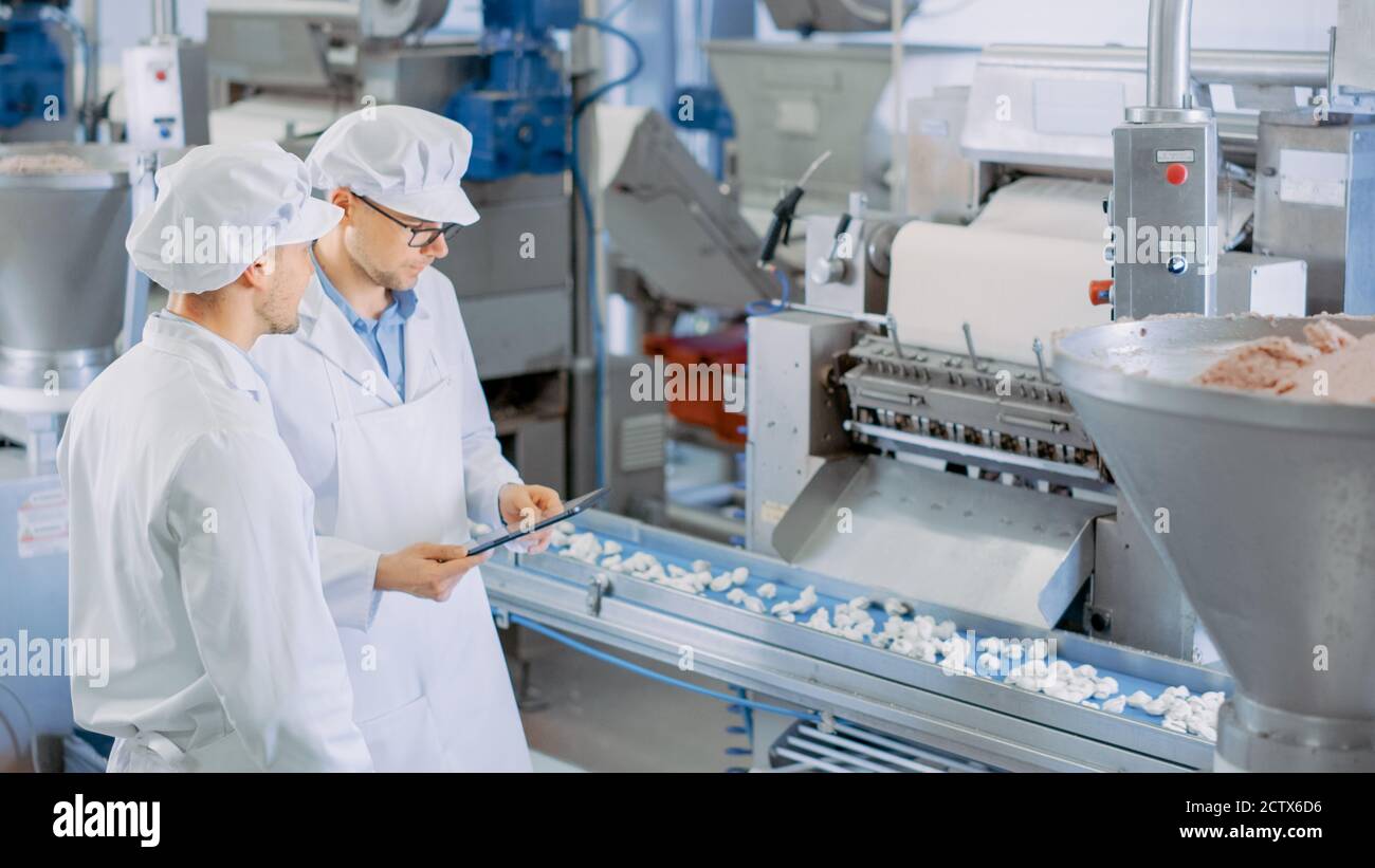 Two Young Male Quality Supervisors or Food Technicians are Inspecting ...