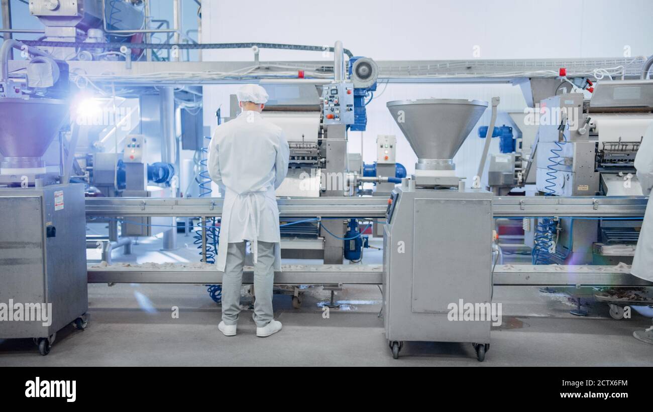 Young Male Food Conveyor Belt Employee Works at a Dumpling Factory. He ...