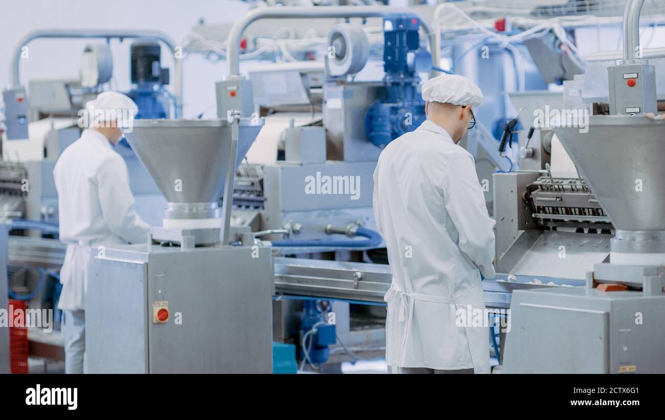Two Young Male Food Conveyor Belt Employees Work at a Dumpling Factory ...