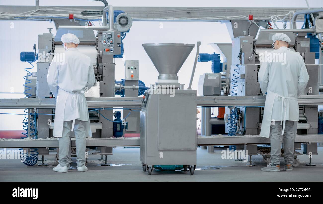 Two Young Male Food Conveyor Belt Employees Work at a Dumpling Factory ...