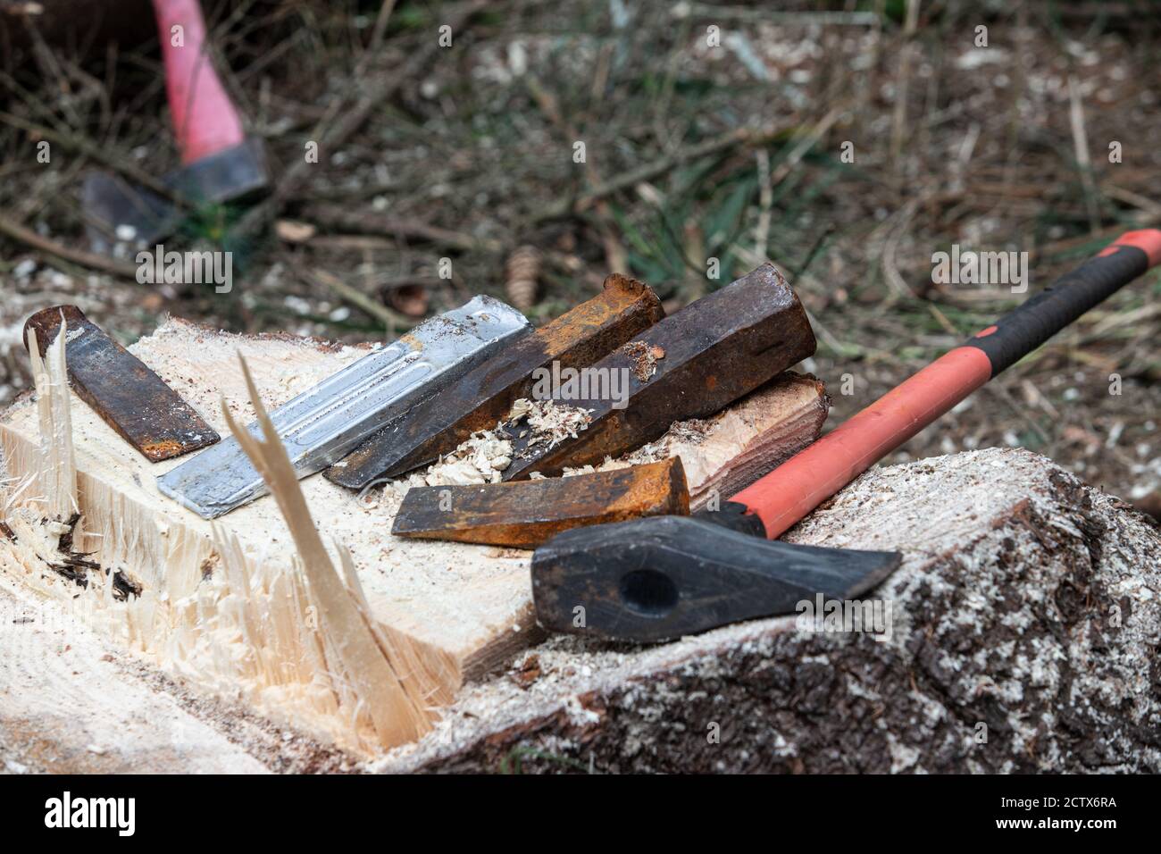 tree felling tools Stock Photo - Alamy