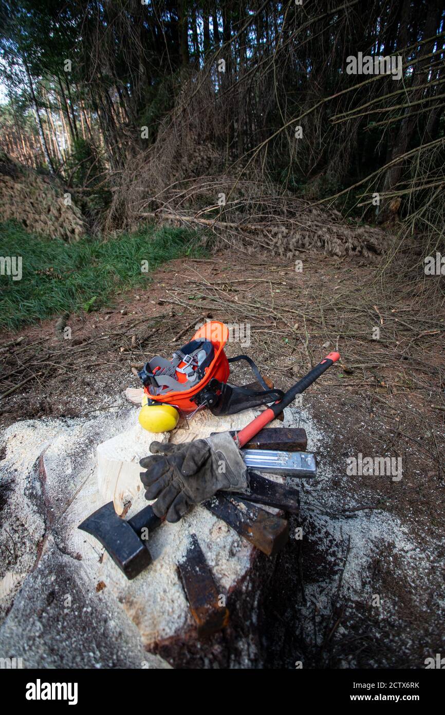 tree felling tools Stock Photo - Alamy
