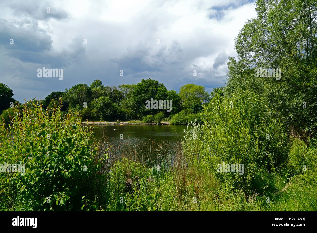 View across Barden Lake on a stormy summer's day, Haysden Country Park ...