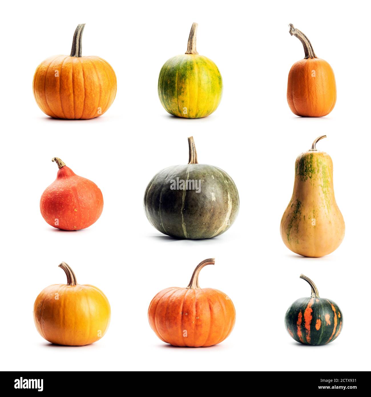 Set of different pumpkins isolated on white background. Image with ...
