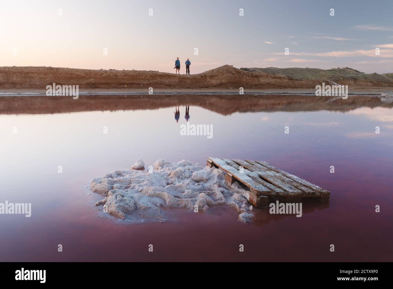 Salt crystals in pink water salt lake in Ukraine, Europe. Two ...