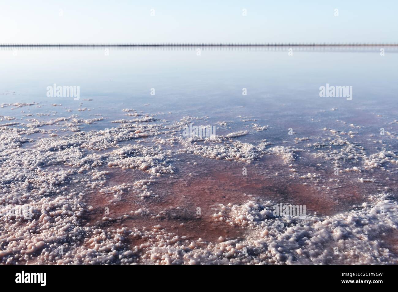 Salt crystals in pink water salt lake in Ukraine, Europe. Landscape ...