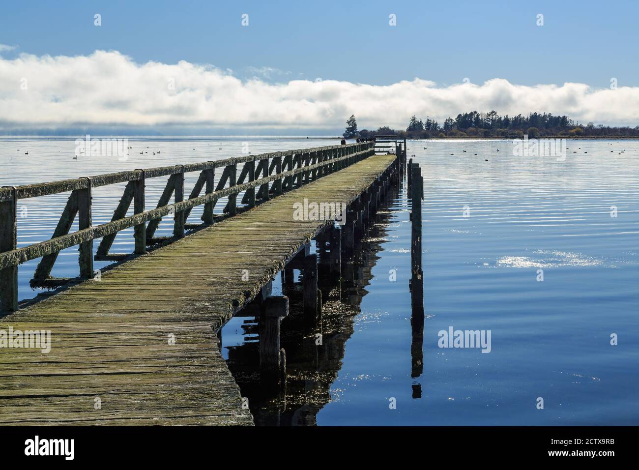 The historic old wooden wharf at Tokaanu, New Zealand, stretching far ...