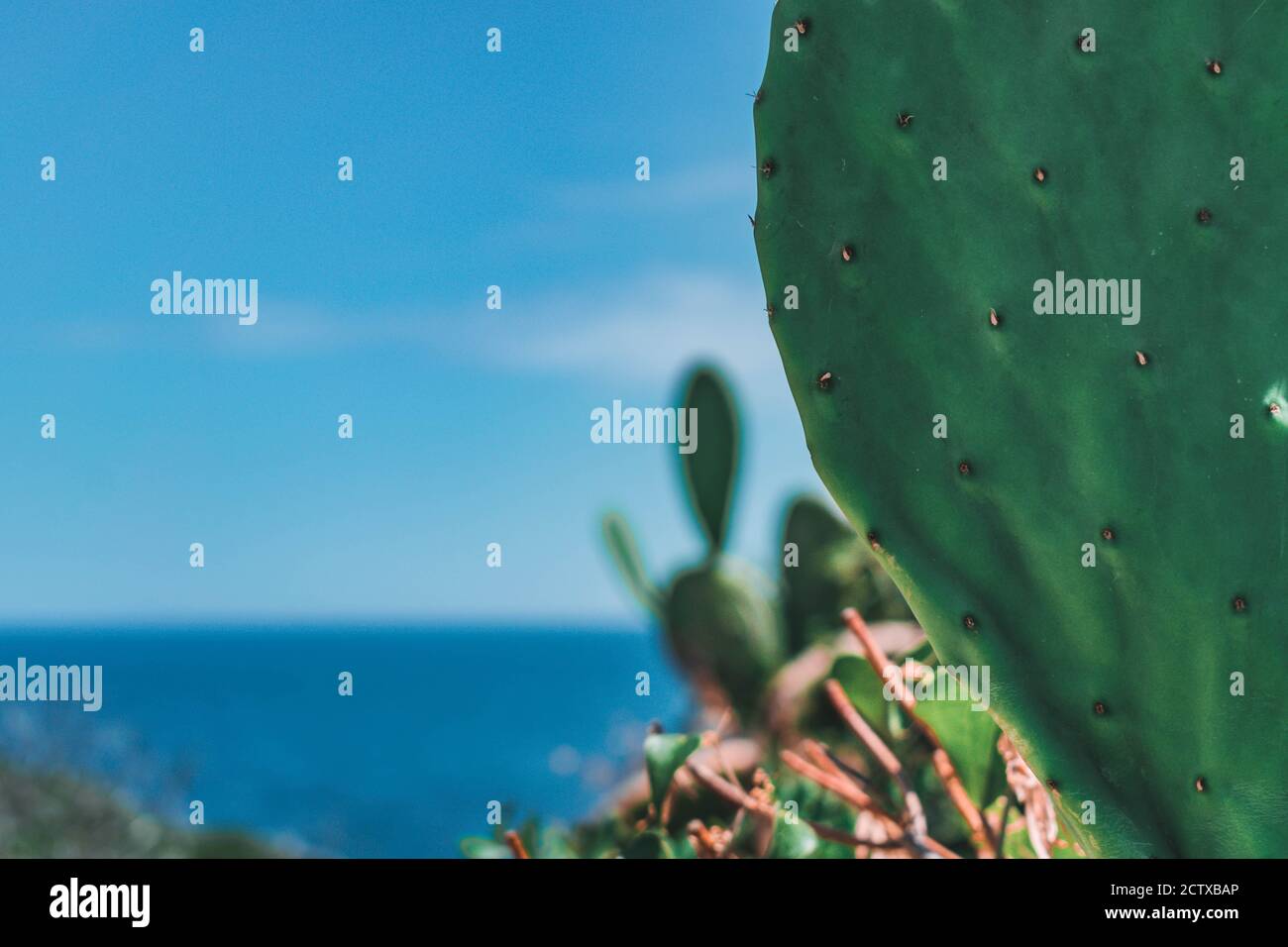 fantastic view on salento and puglia land Stock Photo - Alamy