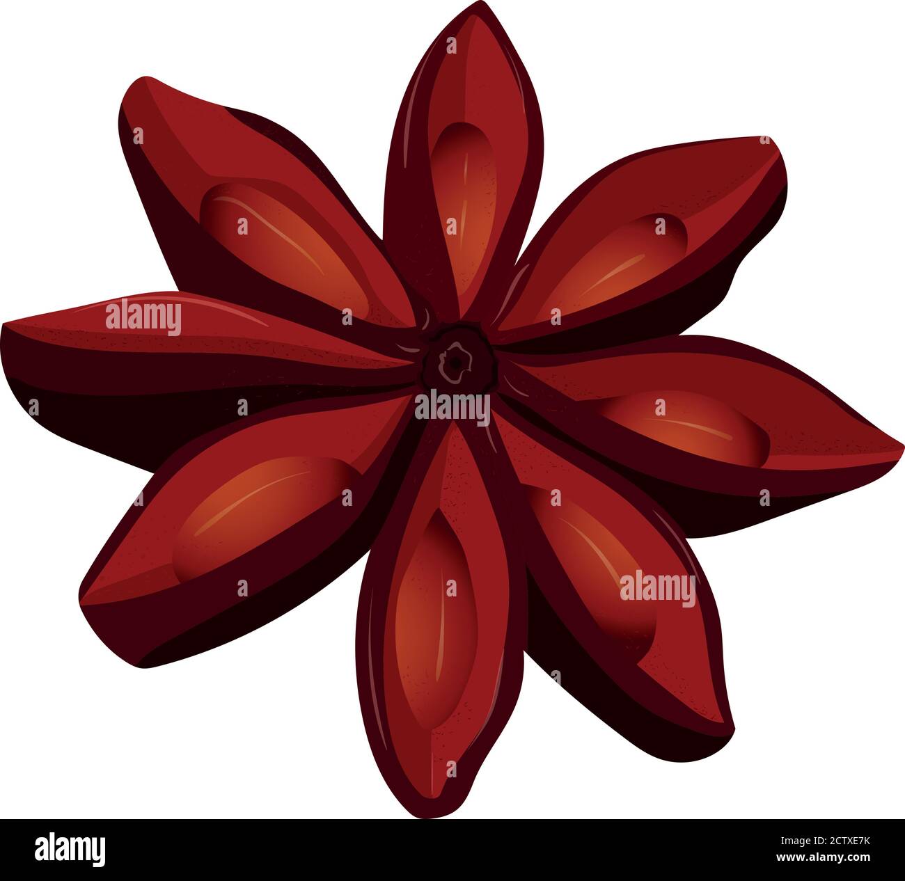vector illustration of star anise Stock Vector Image & Art - Alamy