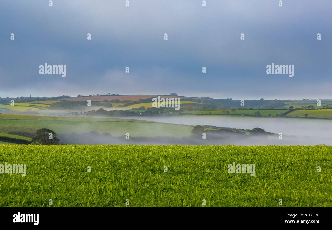 Looe valley autumn hi-res stock photography and images - Alamy