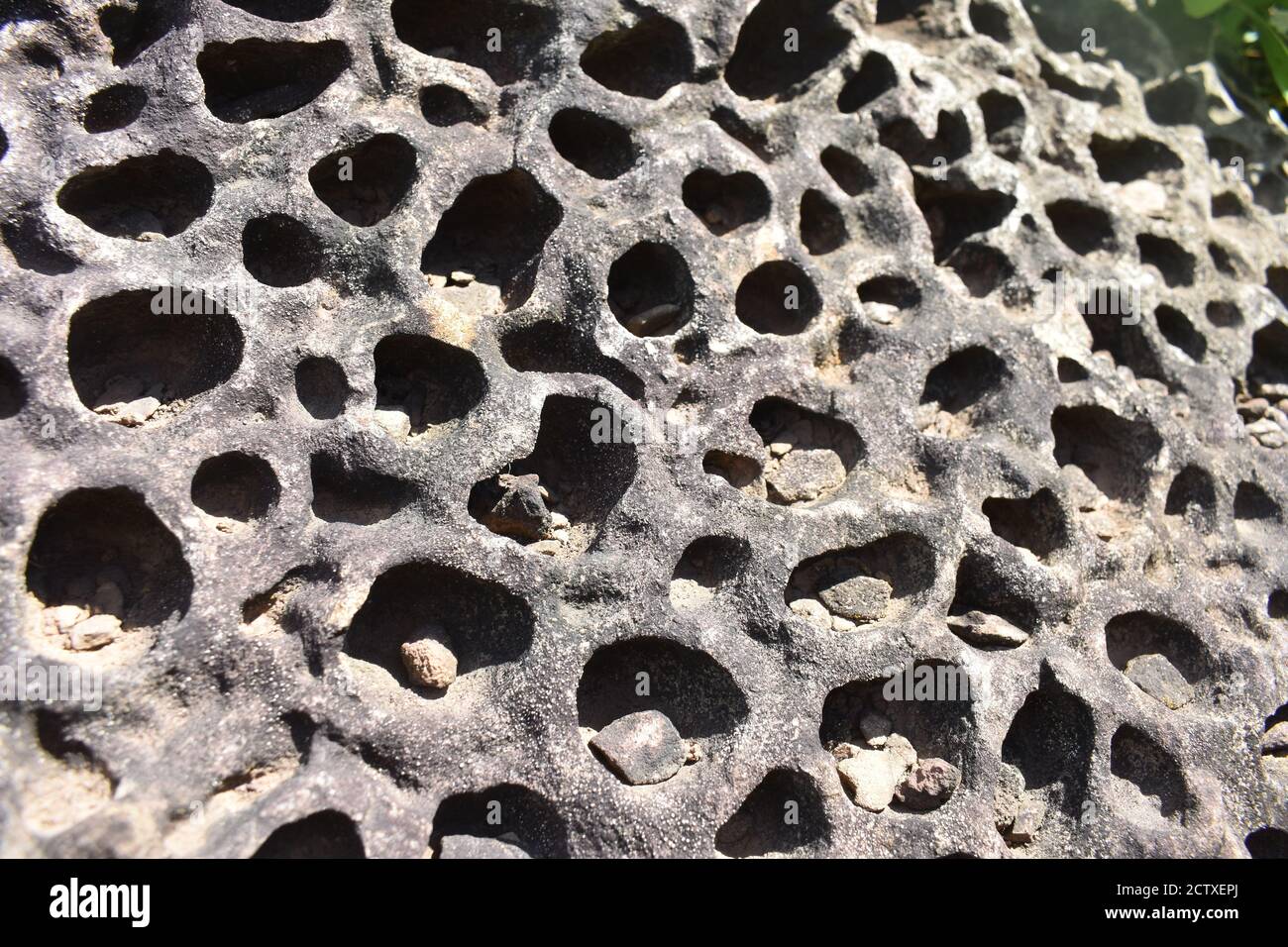 Closeup of volcanic rock texture Stock Photo - Alamy
