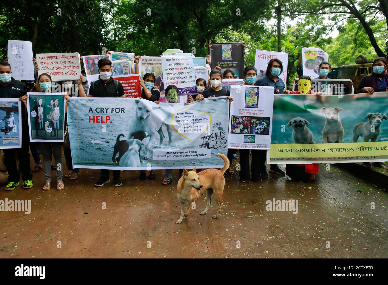 Dhaka, Bangladesh. 25th Sep, 2020. Bangladeshi animal lovers gathered ...