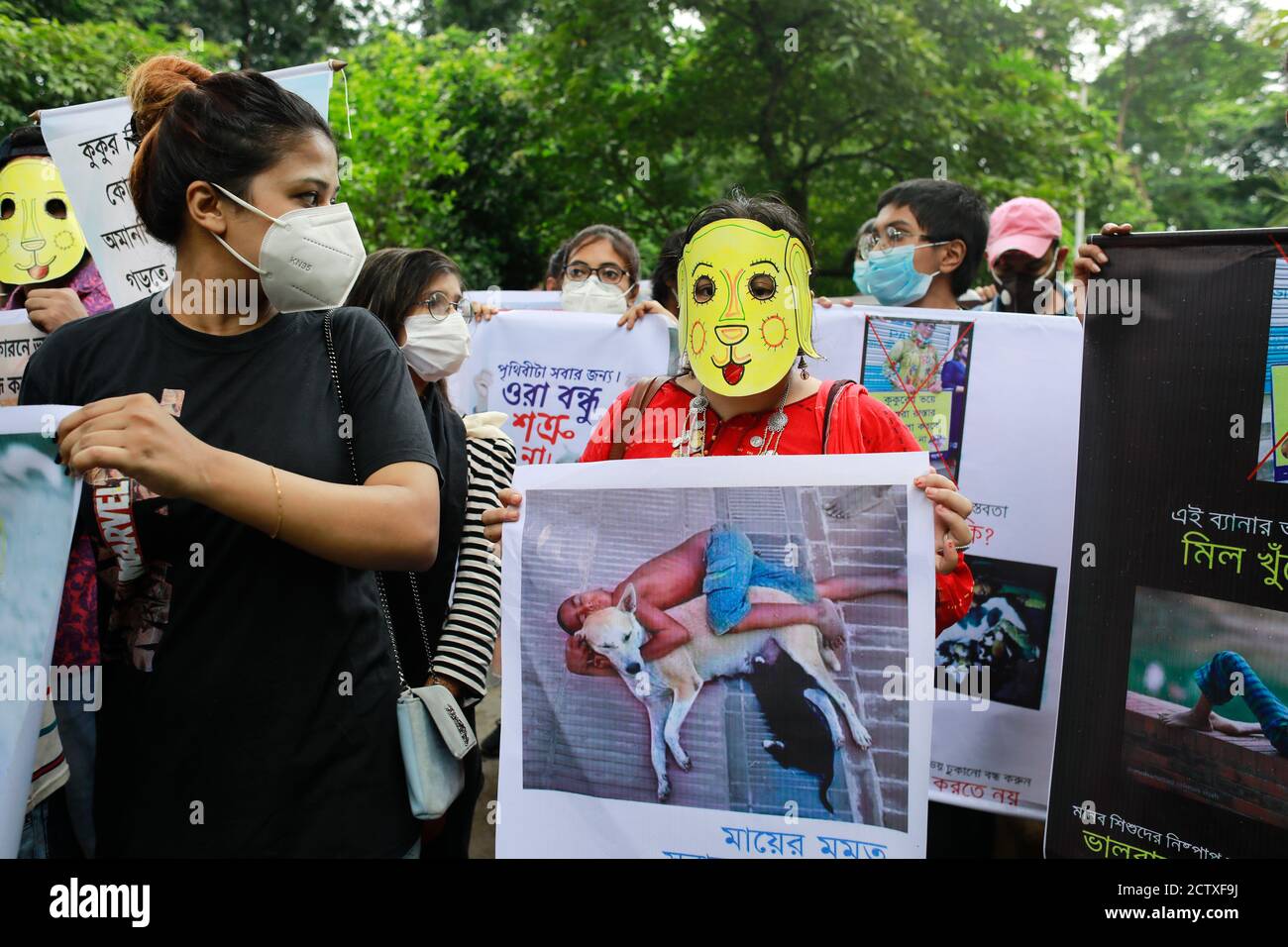 Bangladeshi street dogs hi-res stock photography and images - Alamy