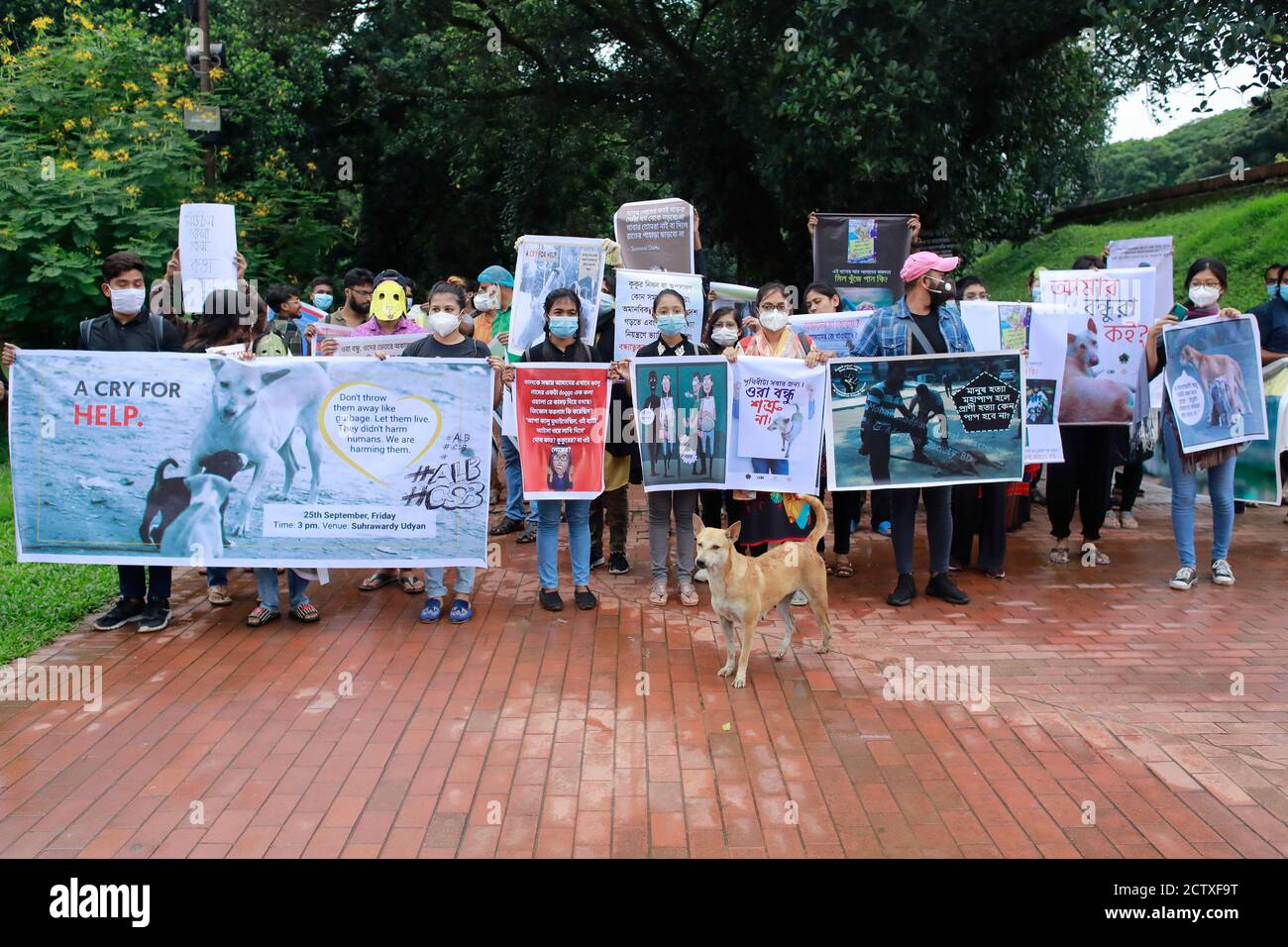 Dhaka, Bangladesh. 25th Sep, 2020. Bangladeshi animal lovers gathered ...