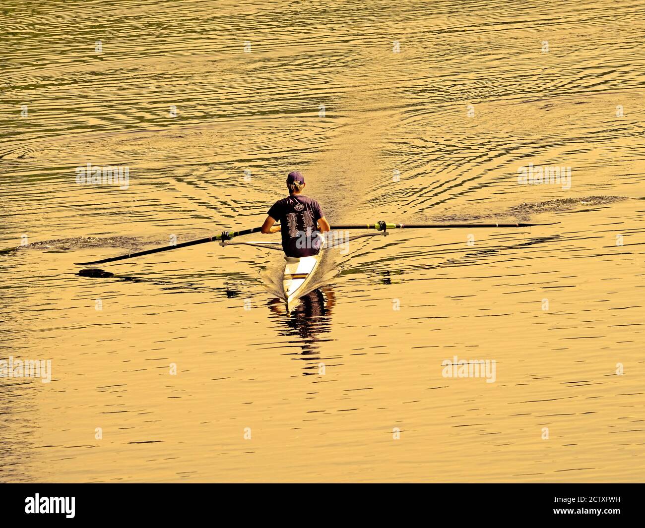 Durham university rower practising on the river Wear Stock Photo - Alamy