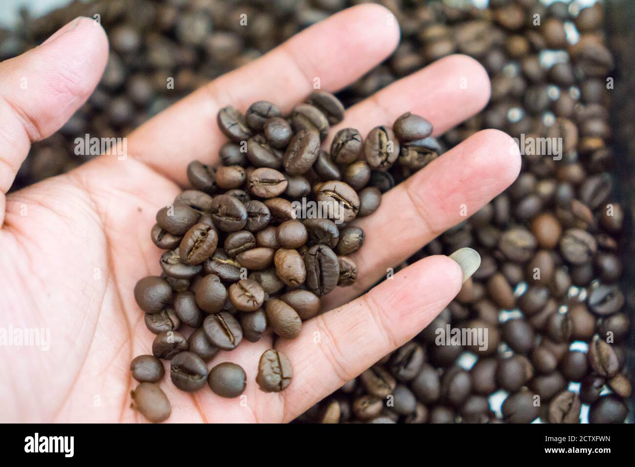 Roasting coffee transforms the chemical and physical properties of ...