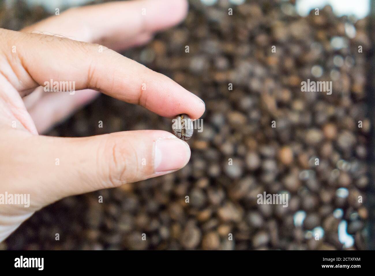 Roasting coffee transforms the chemical and physical properties of ...