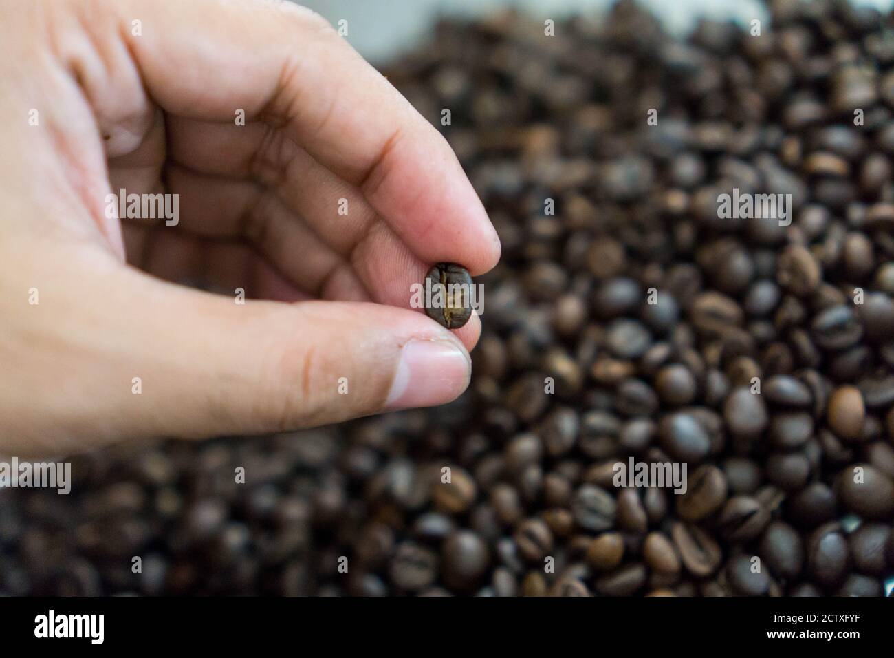 Roasting coffee transforms the chemical and physical properties of ...