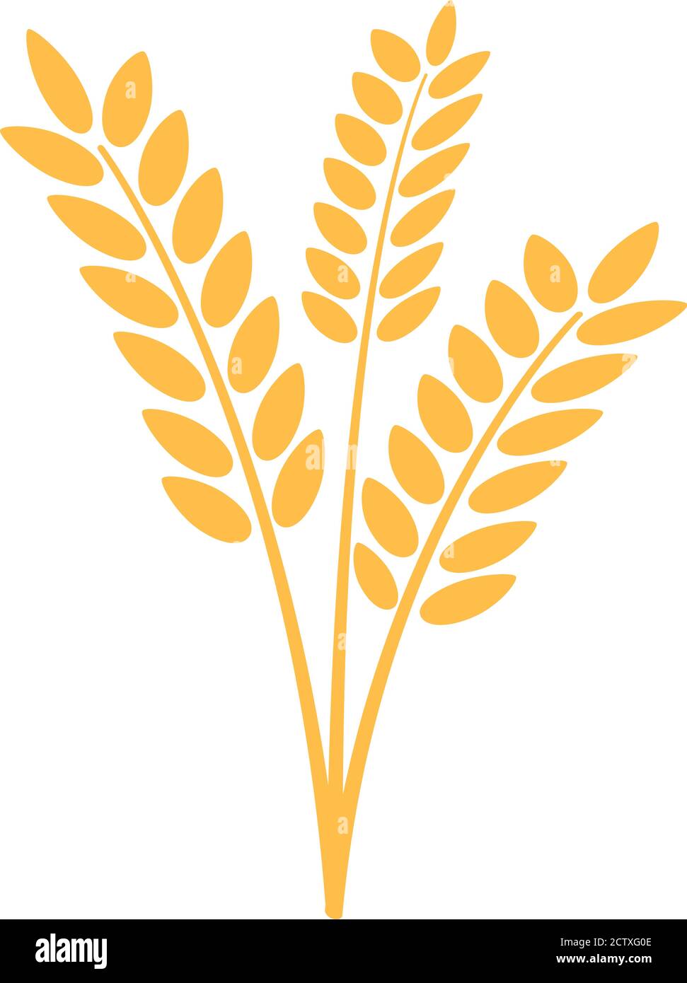 golden wheat ears icon or symbol isolated on white vector illustration ...