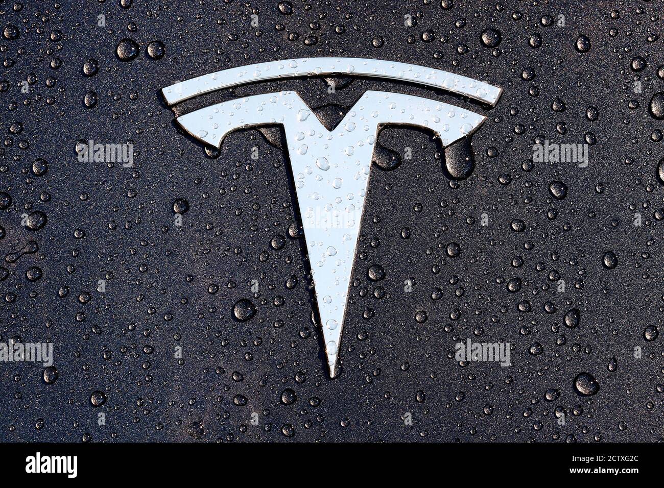 Tesla T badge logo decal or emblem on the hood / bonnet of a Model 3 in ...