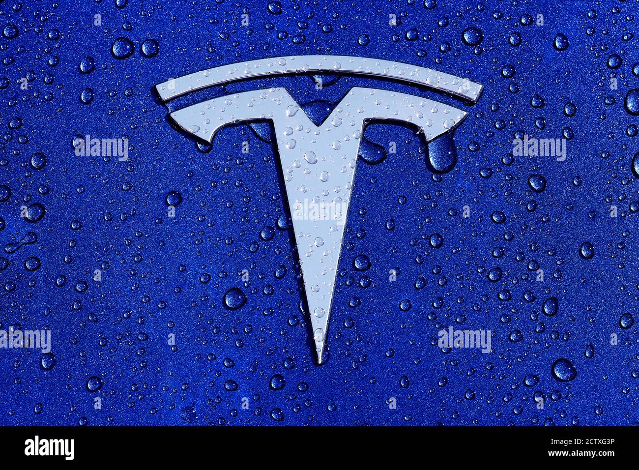 Tesla T Logo