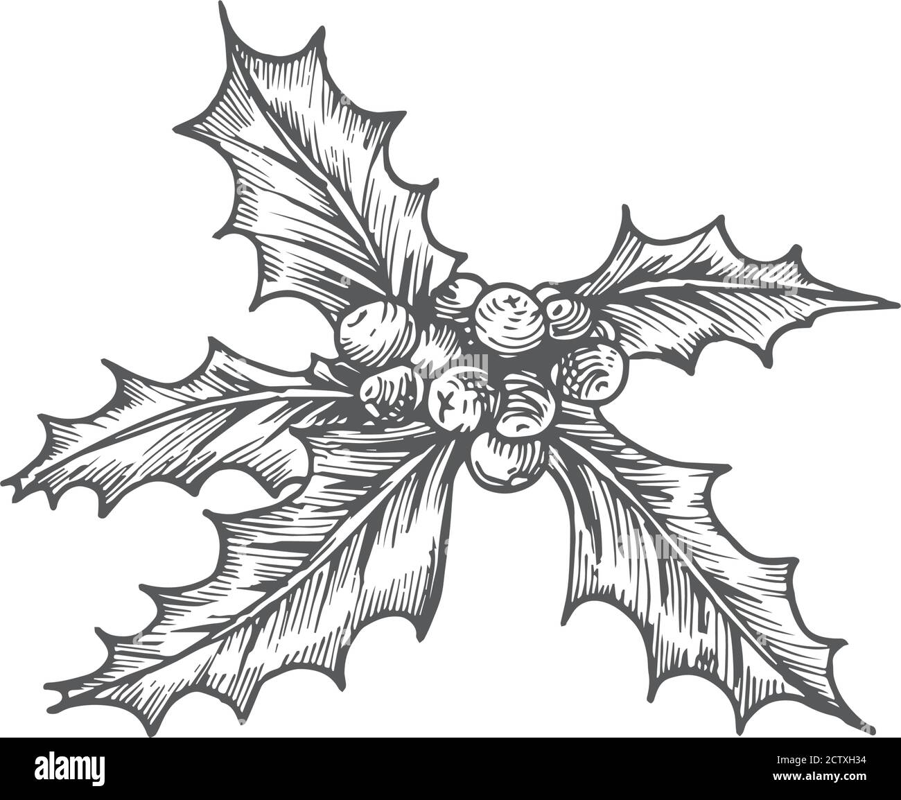Retro silhouette holly drawing hi-res stock photography and images - Alamy
