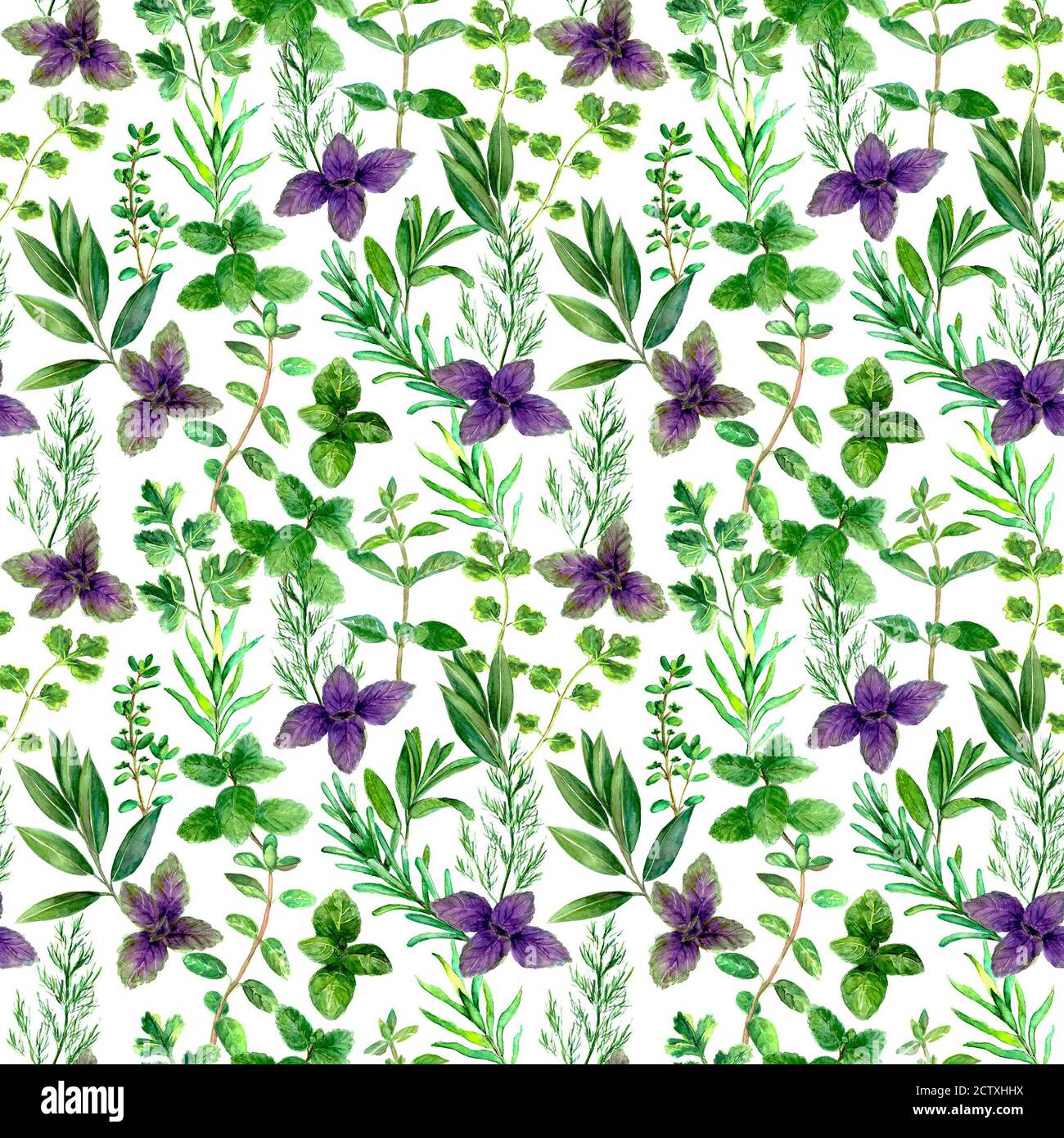 Fragrant herbs spices watercolor green fresh seamless pattern on white ...