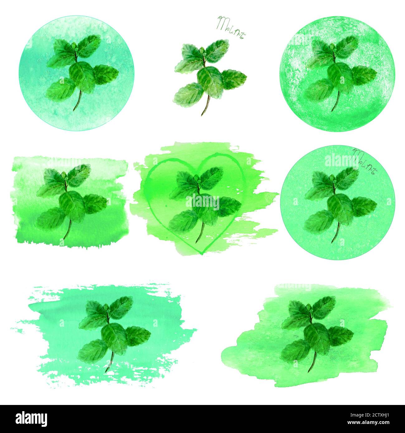 Mint herb leaves logos, icons, labels, stickers, stamps set on white ...
