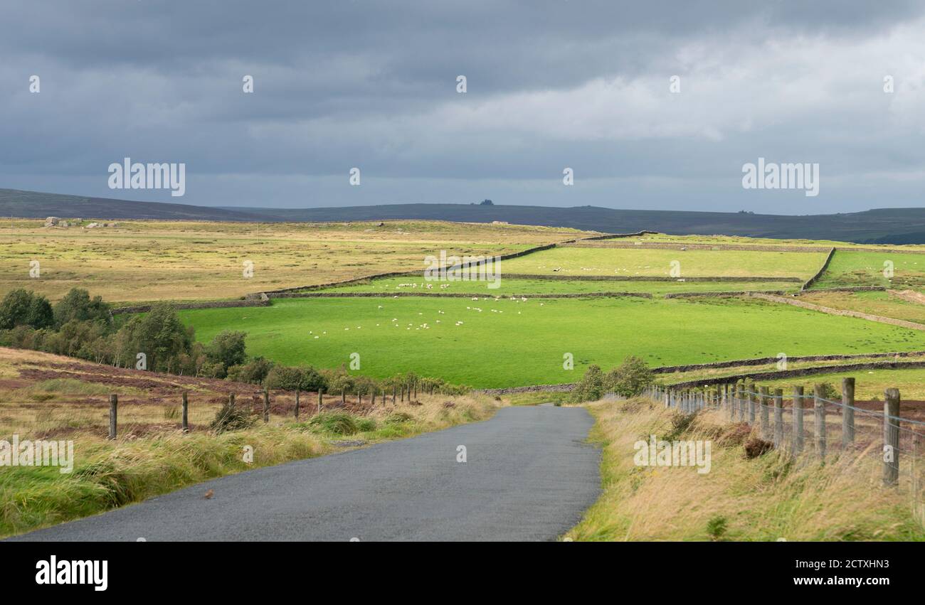 Harrogate countryside hi-res stock photography and images - Alamy