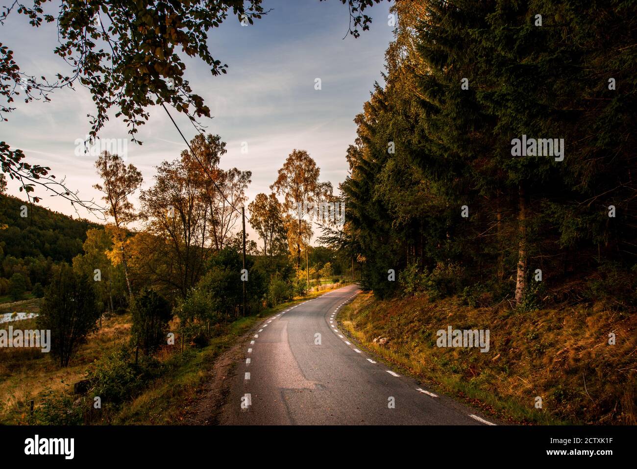 fall is on the way and many colors in the mother nature Stock Photo - Alamy