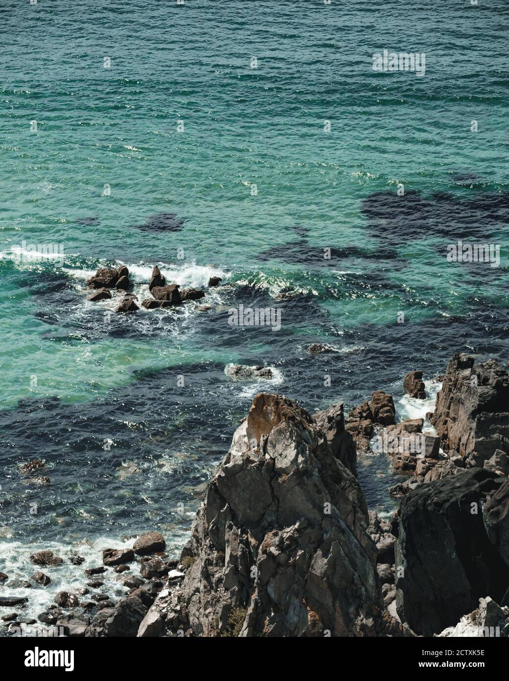 Trees coast cornwall hi-res stock photography and images - Alamy