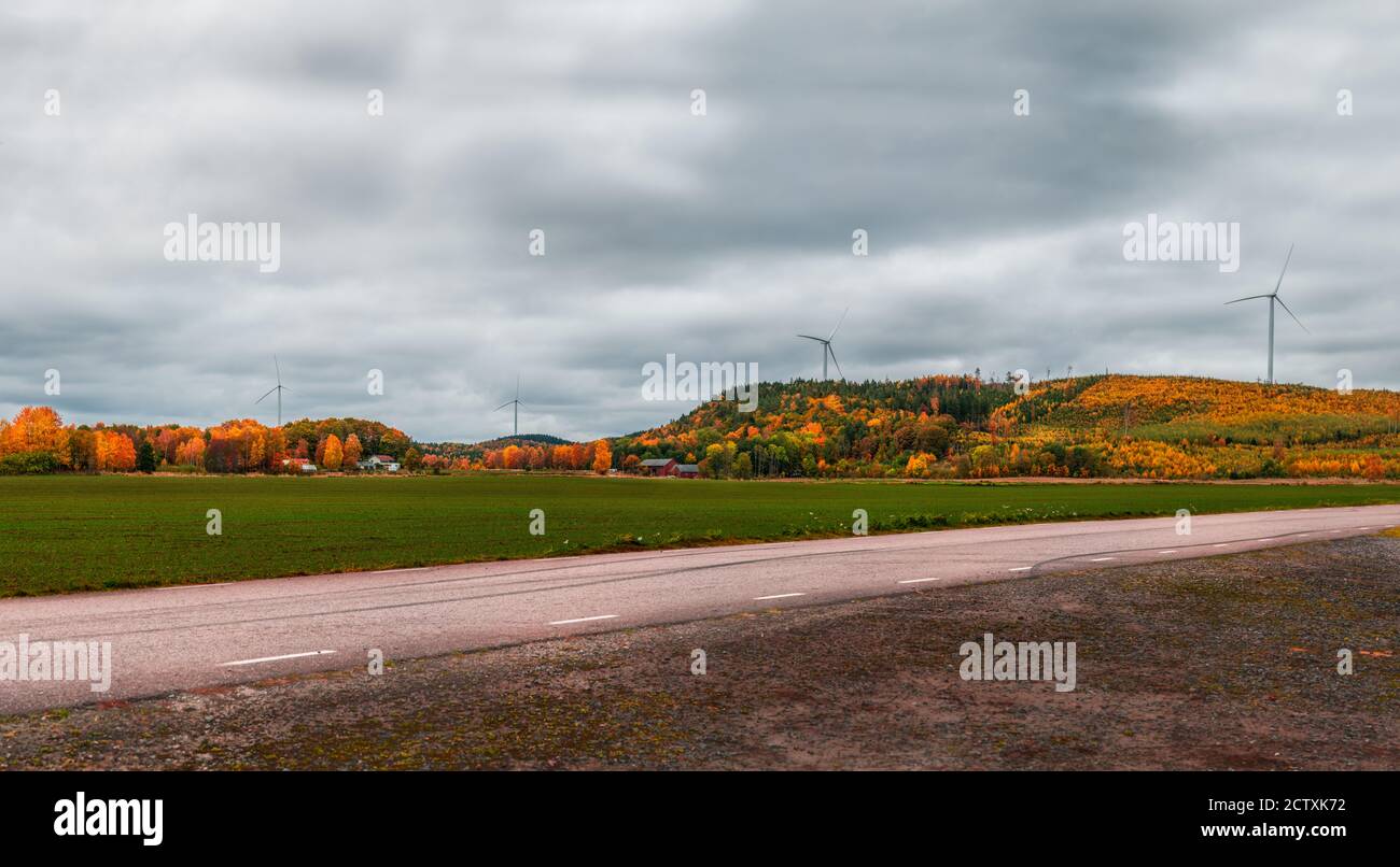 fall is on the way and many colors in the mother nature Stock Photo - Alamy