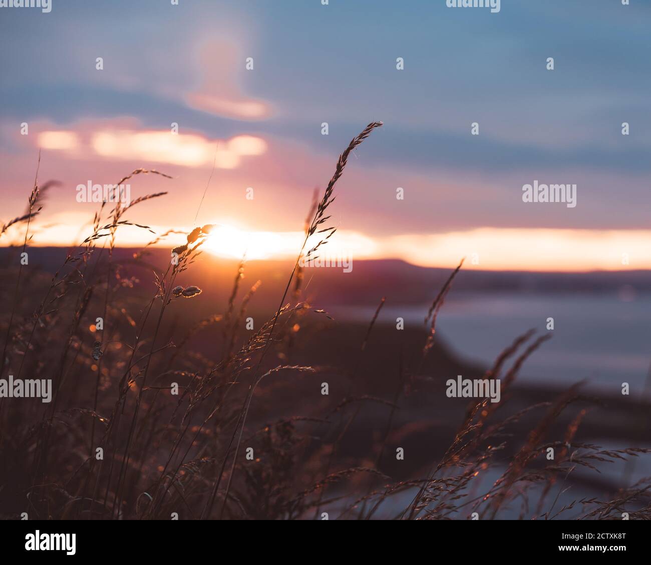 Sunset peaking through the plants overlooking Filey Stock Photo - Alamy