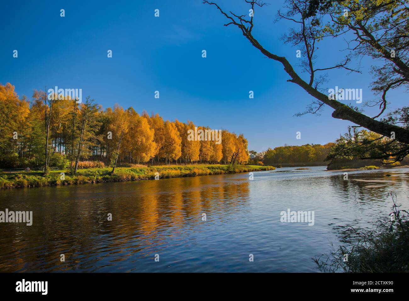 fall is on the way and many colors in the mother nature Stock Photo - Alamy