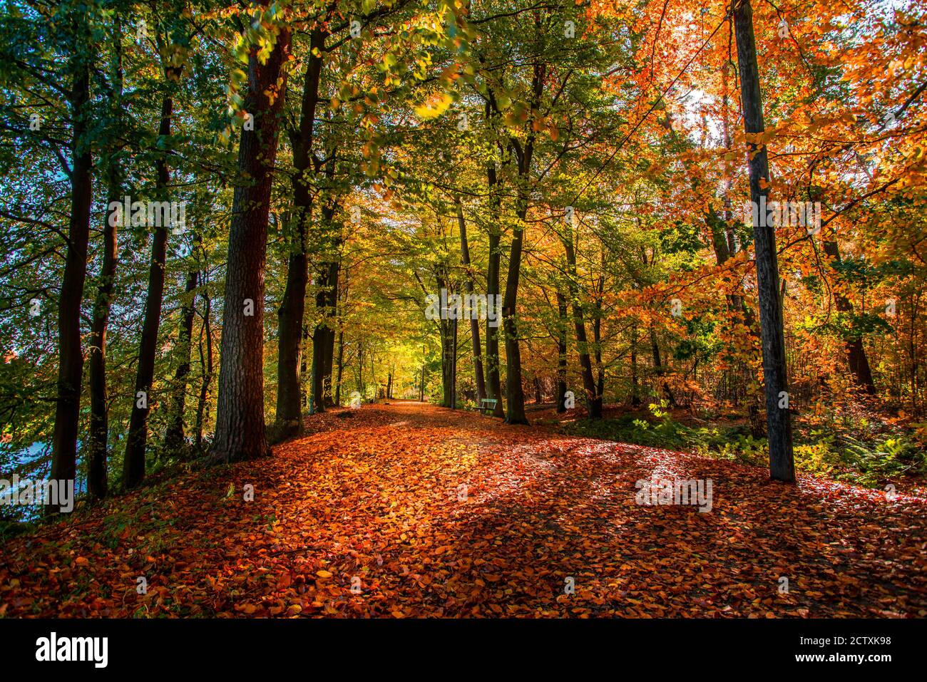 fall is on the way and many colors in the mother nature Stock Photo - Alamy