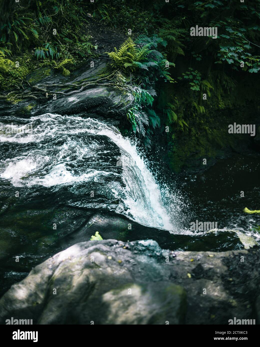 Woodland waterfalls hi-res stock photography and images - Alamy