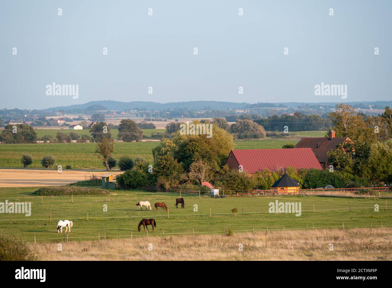 The Swedish flat farmlands with horses and farms during late summer in ...