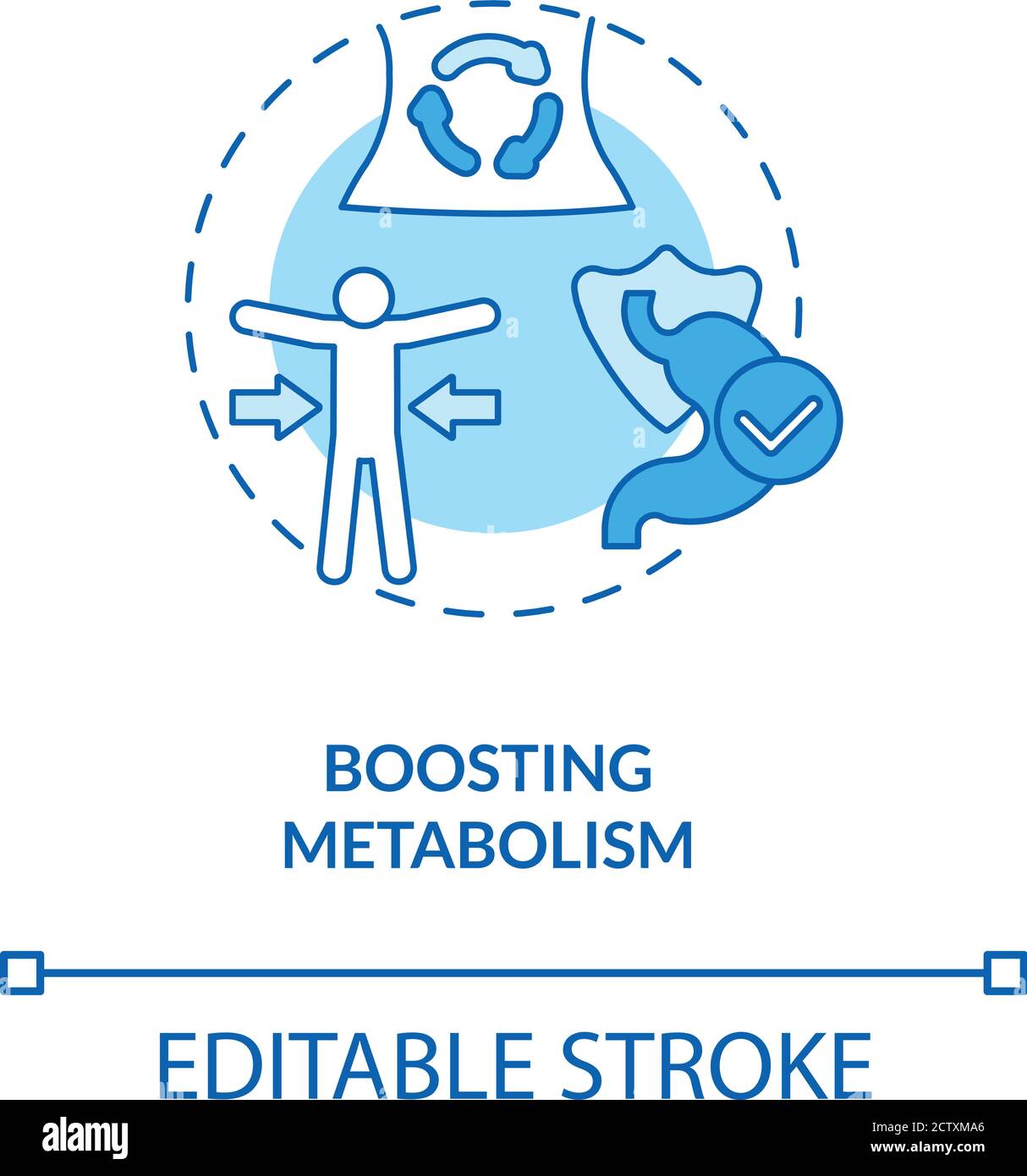 Boosting metabolism Stock Vector Images - Alamy