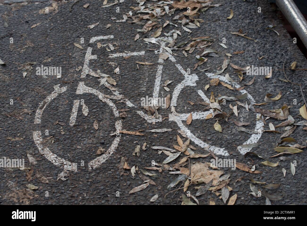 bicycle path marking on the street with pictogram of a bike Stock Photo ...
