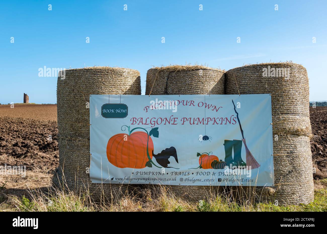 Advertisement for Balgone pick your own pumpkin patch on hay bales in ...