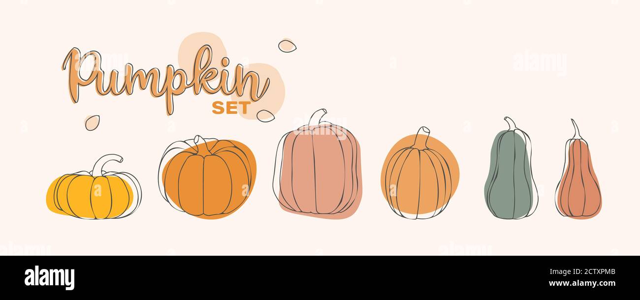 Pumpkin set. Vector illustration. Stylized pumpkins in various sizes ...