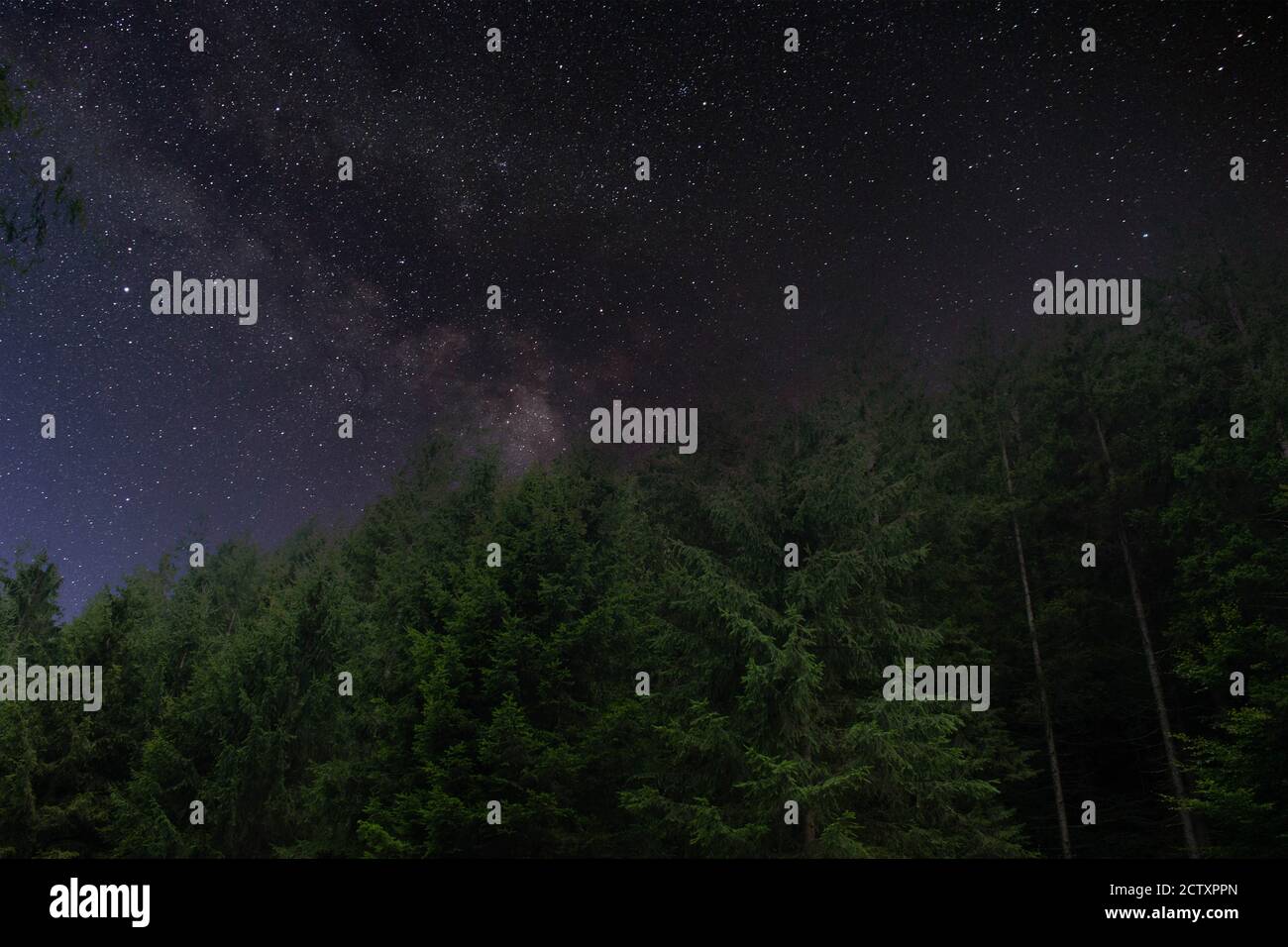 a tree in space Stock Photo - Alamy