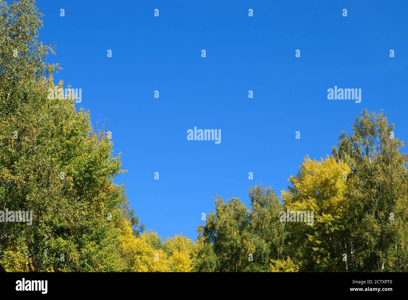 Stunning early autumn colour hi-res stock photography and images - Alamy