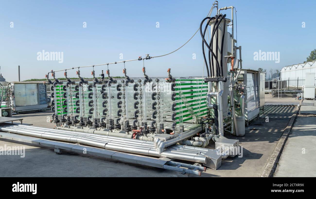 Algae production hi-res stock photography and images - Alamy