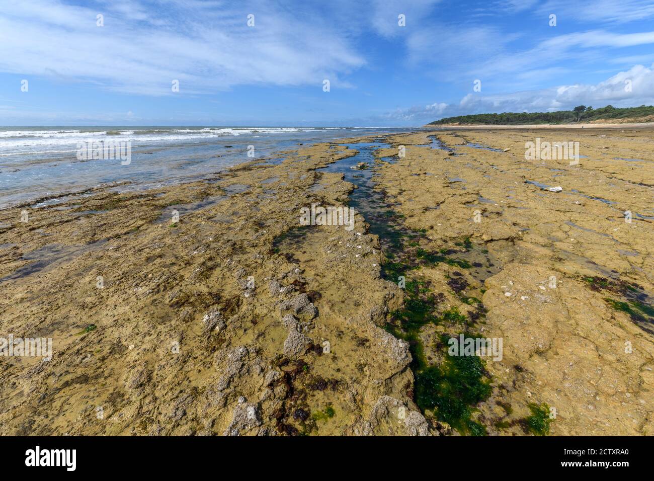 Landscape of the French Atlantic coast at low tide with sunny weather ...