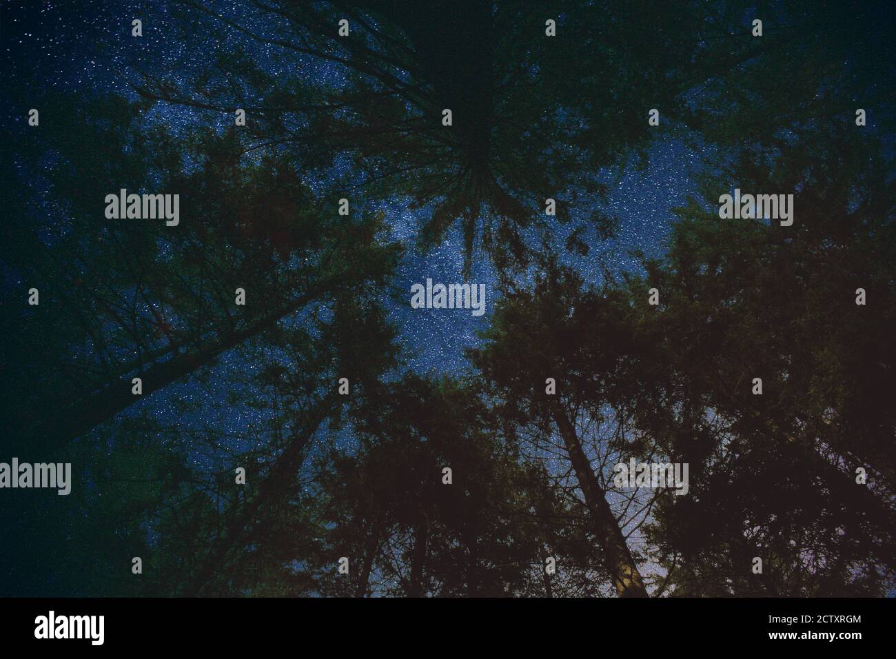 a tree in space Stock Photo - Alamy