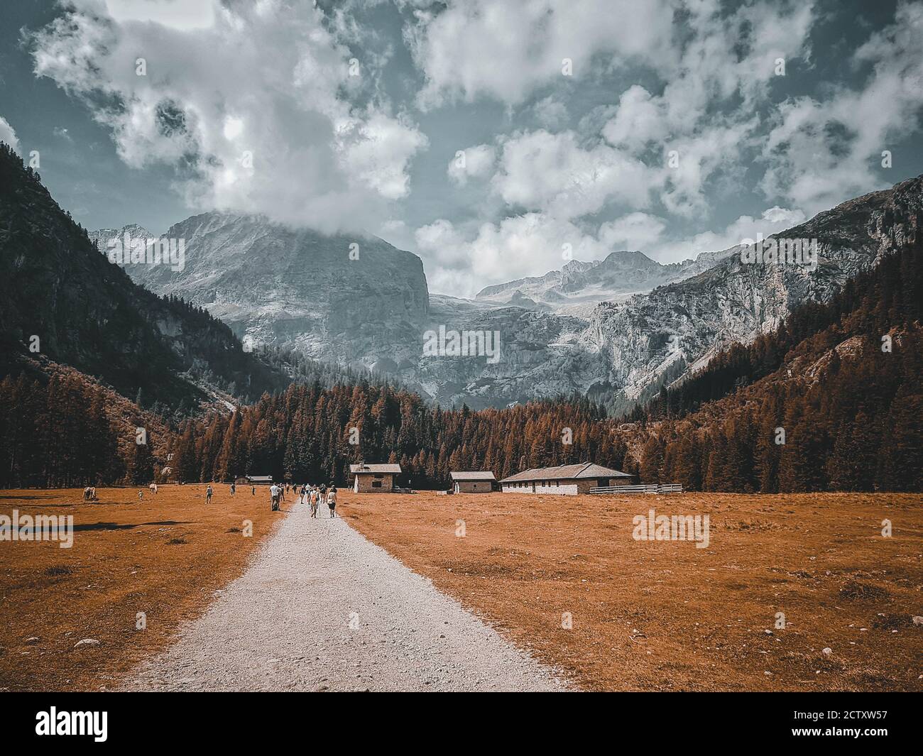 val di genova and nardis waterfalls Stock Photo - Alamy